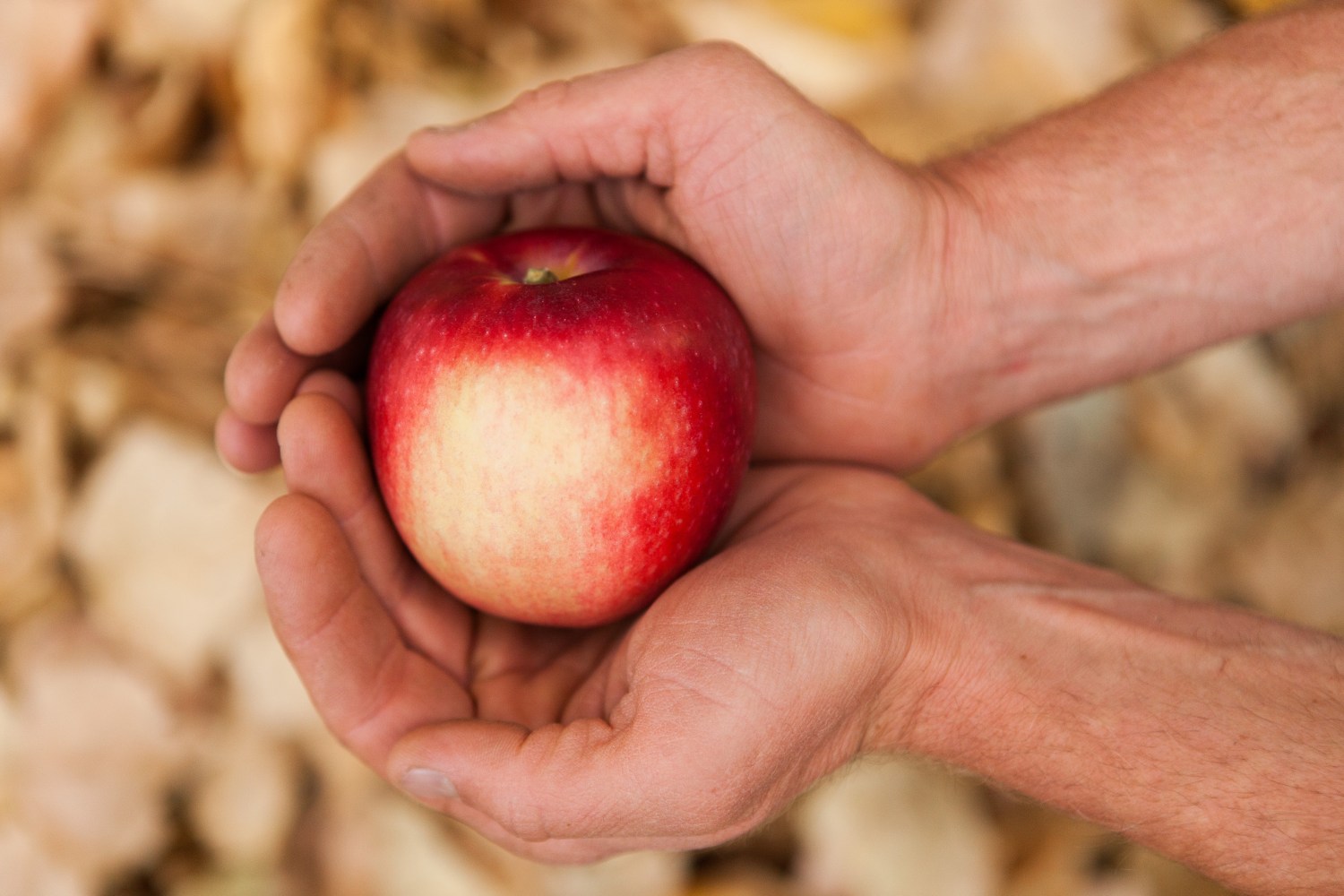 Filaree Fruit – OPMA – Okanogan Producers Marketing Association