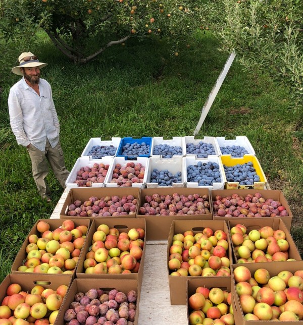 Filaree Fruit – OPMA – Okanogan Producers Marketing Association