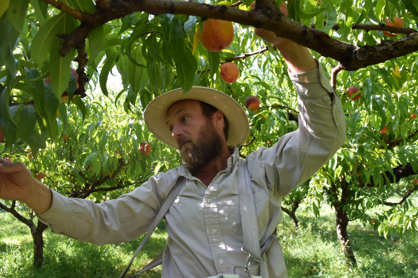 Filaree Fruit – OPMA – Okanogan Producers Marketing Association